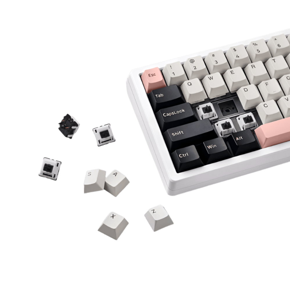Mechanical Keyboards — Computer Orbit